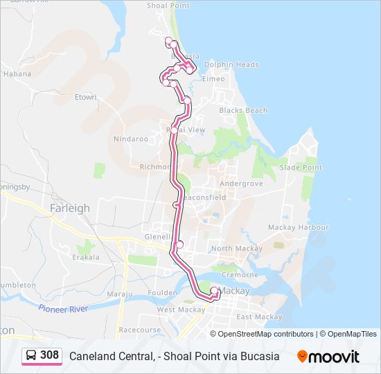 308 Route: Schedules, Stops & Maps - Bucasia (Updated)