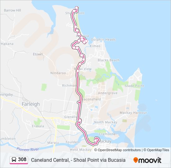 308 Route: Schedules, Stops & Maps - Caneland Central (Updated)