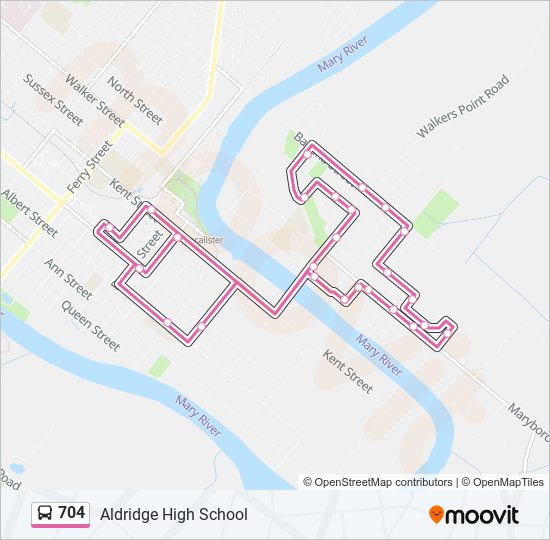 704 Route: Schedules, Stops & Maps - Aldridge High School (Updated)
