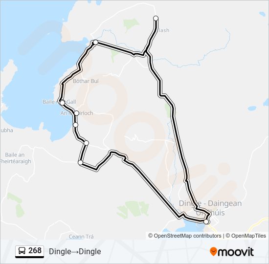 268 Route: Schedules, Stops & Maps - Dingle‎→Dingle (Updated)