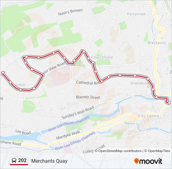 202 Route: Schedules, Stops & Maps - Merchants Quay (Updated)