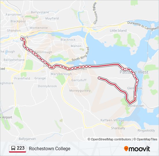 223 Route: Schedules, Stops & Maps - Rochestown College (Updated)