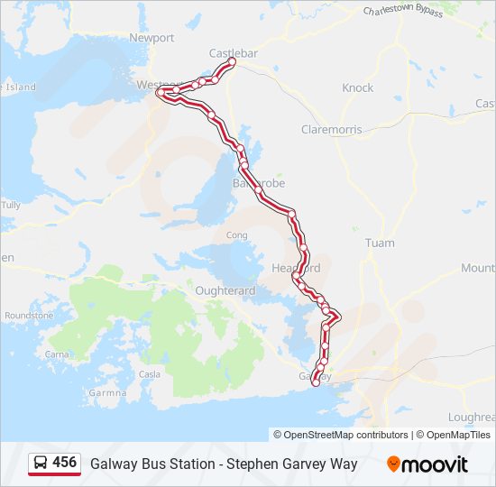 456 Route: Schedules, Stops & Maps - Galway (Updated)
