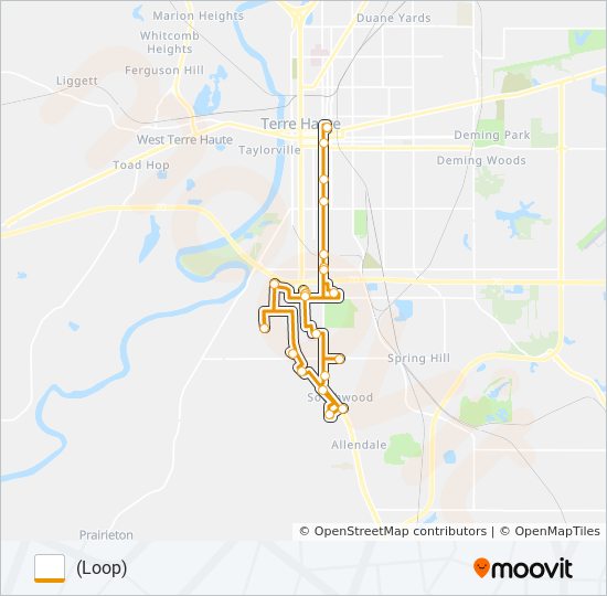south 7th Route: Schedules, Stops & Maps - (Loop) (Updated)