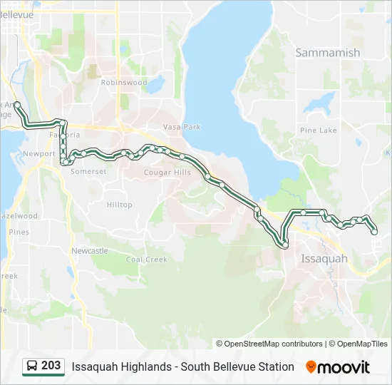 203 Route: Schedules, Stops & Maps - South Bellevue Station Newport Way ...