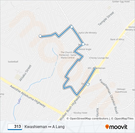 313 Route: Schedules, Stops & Maps - Kwashieman (Updated)