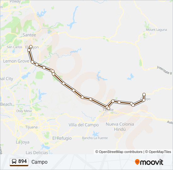 894 Route: Schedules, Stops & Maps - Campo (Updated)