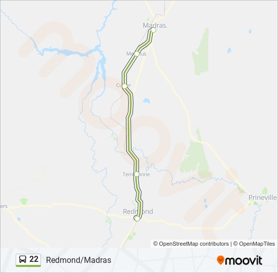 22 Route: Schedules, Stops & Maps - Madras (Updated)
