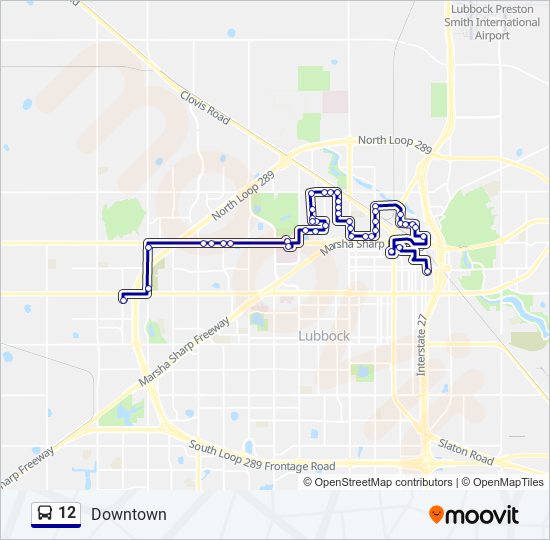 12 Route: Schedules, Stops & Maps - Downtown (Updated)