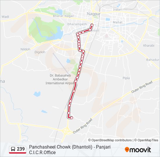 239 Route: Schedules, Stops & Maps - Panjari C.I.C.R.Office (Updated)