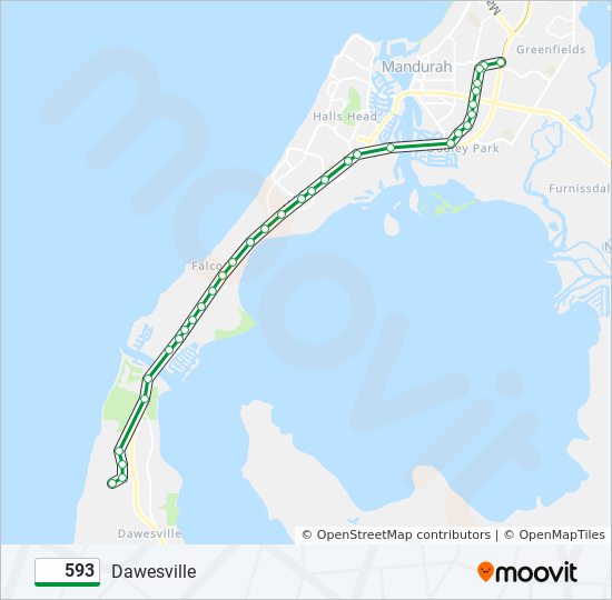 593 Route: Schedules, Stops & Maps - Dawesville (Updated)