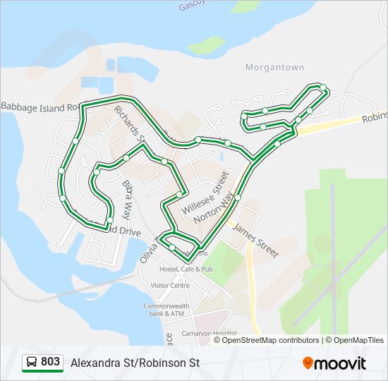 803 Route: Schedules, Stops & Maps - Alexandra St/Robinson St (Updated)