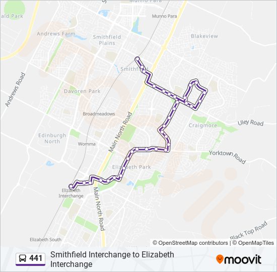 441 Route: Schedules, Stops & Maps - Elizabeth (Updated)