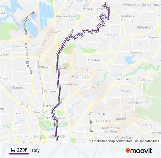 229f Route: Schedules, Stops & Maps - City (Updated)