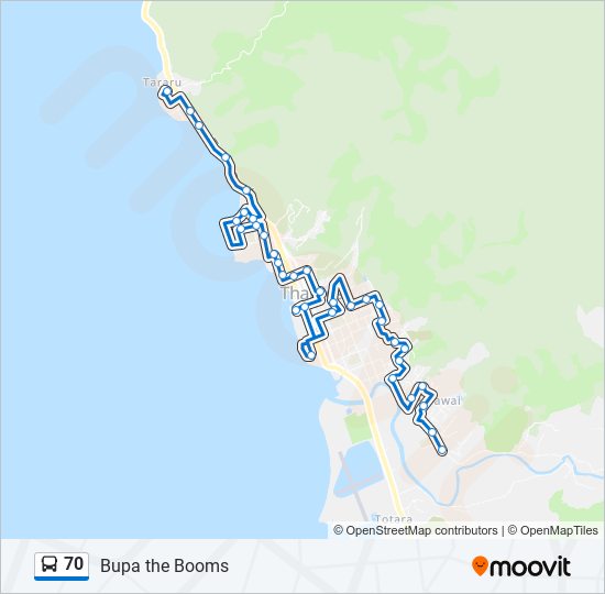 70 Route: Schedules, Stops & Maps - Bupa the Booms (Updated)