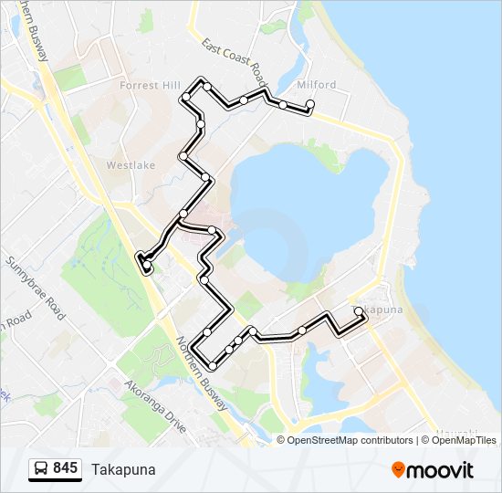 845 Route: Schedules, Stops & Maps - Takapuna (Updated)