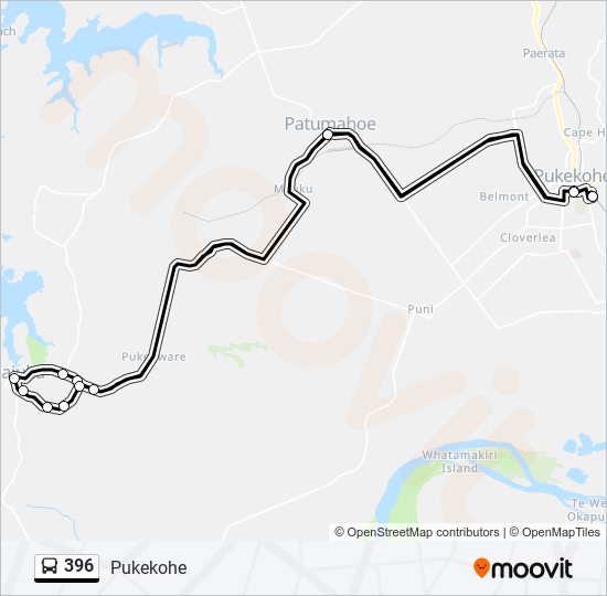 396 Route: Schedules, Stops & Maps - Pukekohe (Updated)