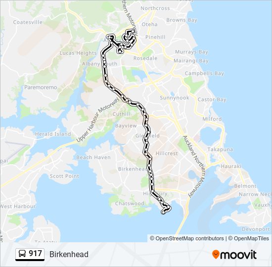 917 Route: Schedules, Stops & Maps - Birkenhead (Updated)