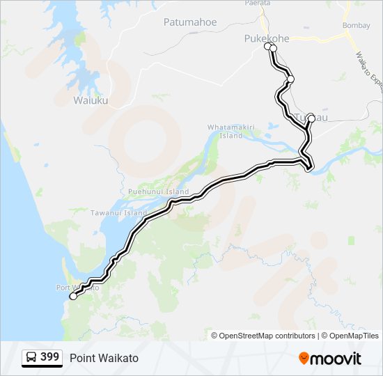 399 Route: Schedules, Stops & Maps - Point Waikato (Updated)