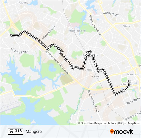 313 Route: Schedules, Stops & Maps - Mangere (Updated)