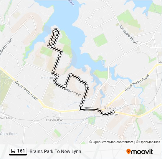 161 Route: Schedules, Stops & Maps - Brains Park To New Lynn (Updated)
