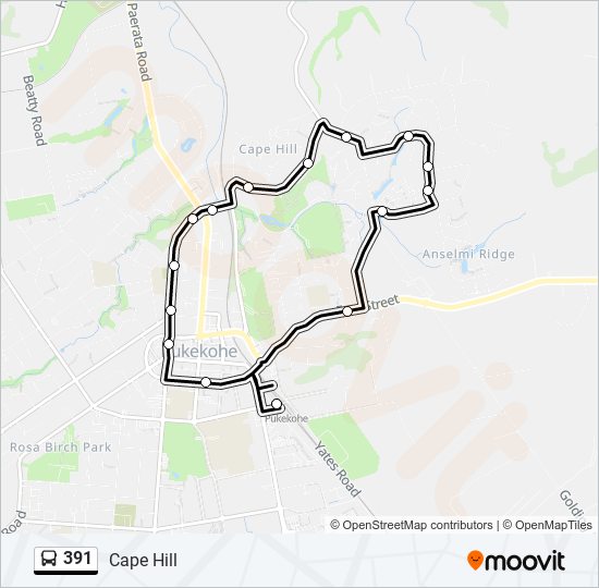 391 Route: Schedules, Stops & Maps - Cape Hill (Updated)