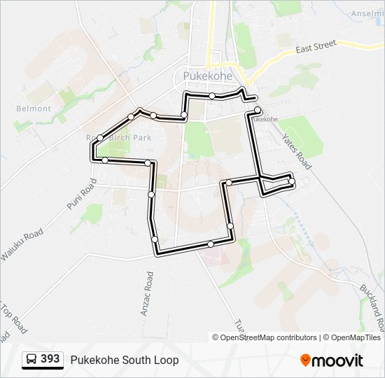 393 Route: Schedules, Stops & Maps - Pukekohe South Loop (Updated)