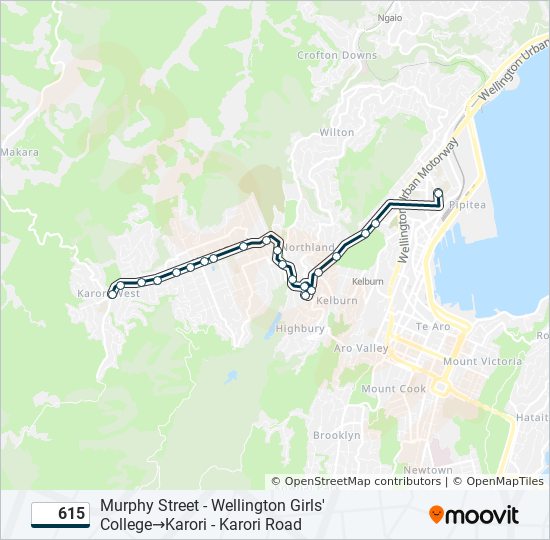 615 Route: Schedules, Stops & Maps - Murphy Street - Wellington Girls ...