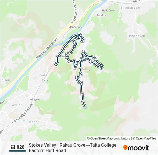 828 Route: Schedules, Stops & Maps - Stokes Valley - Rakau Grove‎→Taita ...