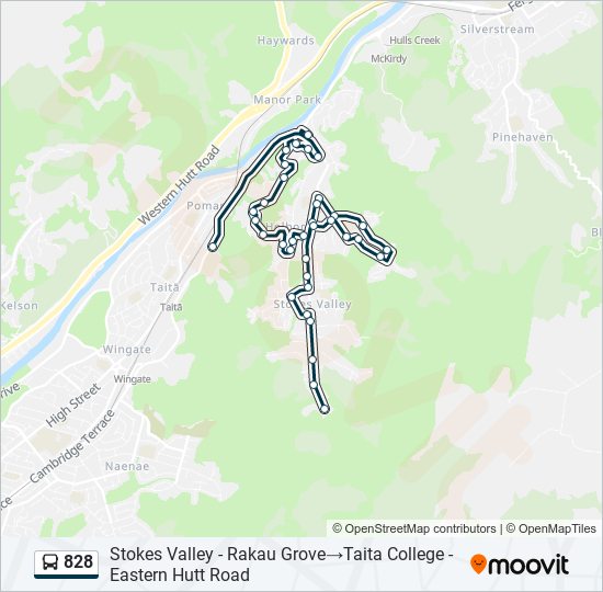 828 Route: Schedules, Stops & Maps - Stokes Valley - Rakau Grove‎→Taita ...