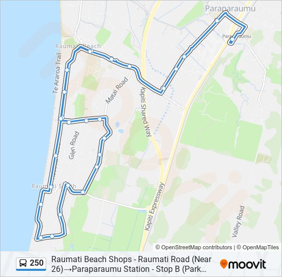 250 Route: Schedules, Stops & Maps - Raumati Beach Shops - Raumati Road ...