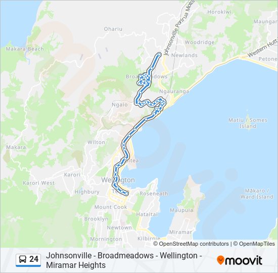 24 Route: Schedules, Stops & Maps - Johnsonville - Stop B‎→Courtenay ...