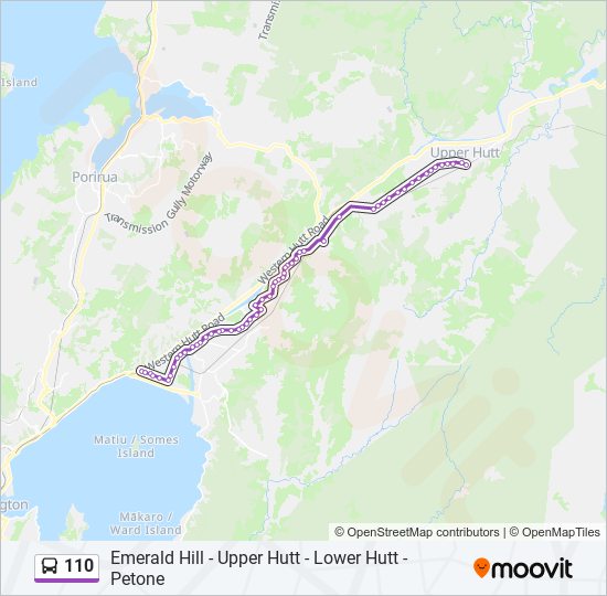 110 Route: Schedules, Stops & Maps - Petone Station - Stop B‎→Upper ...