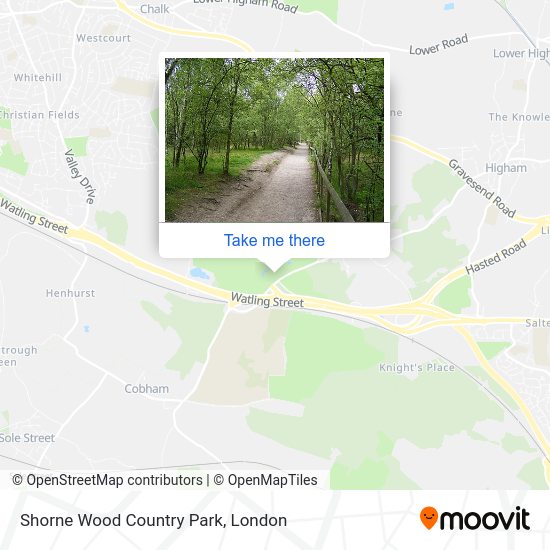 How to Get to Shorne Wood Country Park in Cobham by Bus or Train?