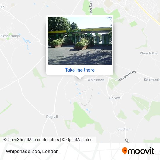How to Get to Whipsnade Zoo in Central Bedfordshire by Bus or Train?