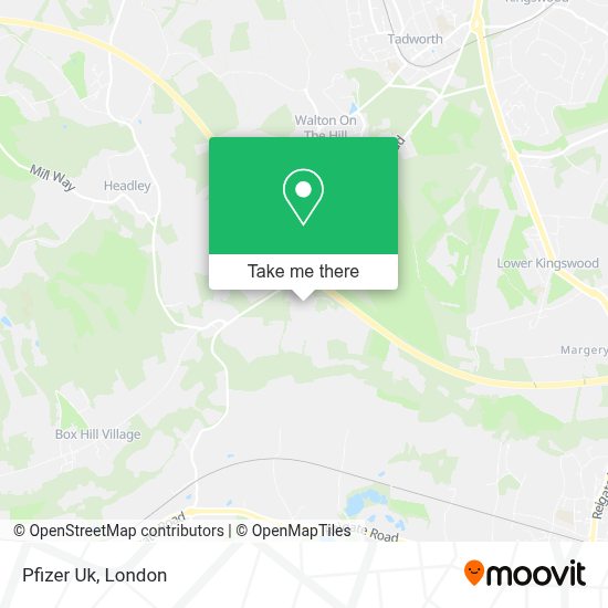 How to Get to Pfizer Uk in Reigate And Banstead by Bus or Train?