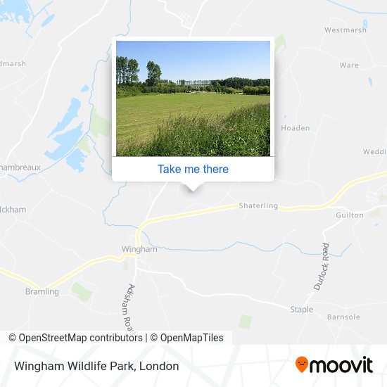 How to Get to Wingham Wildlife Park in Kent by Bus?