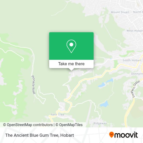 How to get to The Ancient Blue Gum Tree in Hobart by bus?
