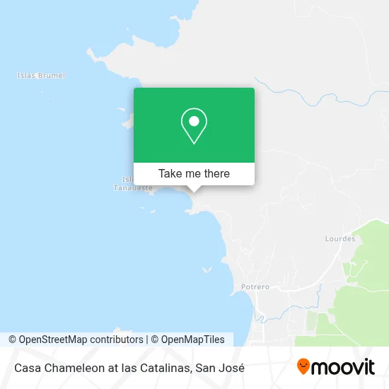 ¿Cómo llegar a Casa Chameleon at las Catalinas en San José en autobús?