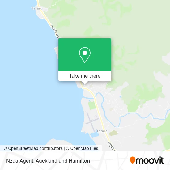 How to get to Nzaa Agent with public transport?