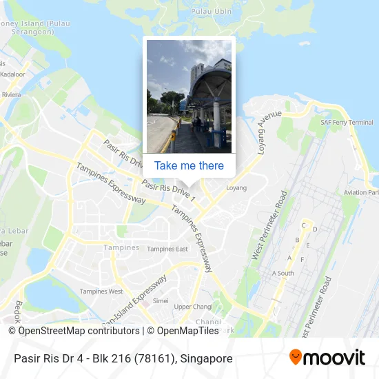 Pasir Ris Dr 4 - Blk 216 (78161) stop - Routes, Schedules, and Fares