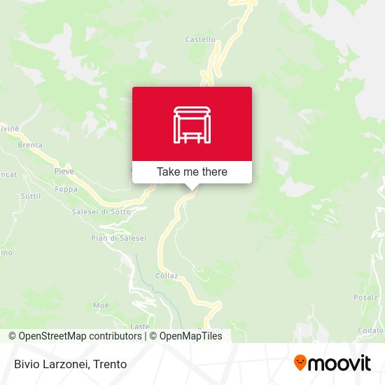 Bivio Larzonei stop - Routes, Schedules, and Fares