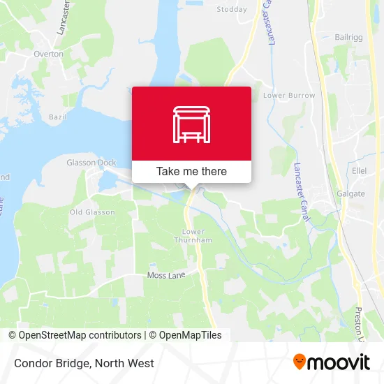 Condor Bridge - Routes, Schedules, and Fares