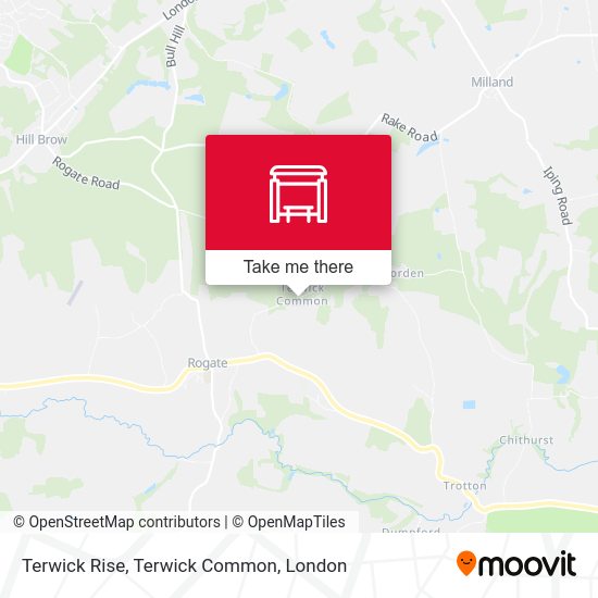 Terwick Rise, Terwick Common stop - Routes, Schedules, and Fares