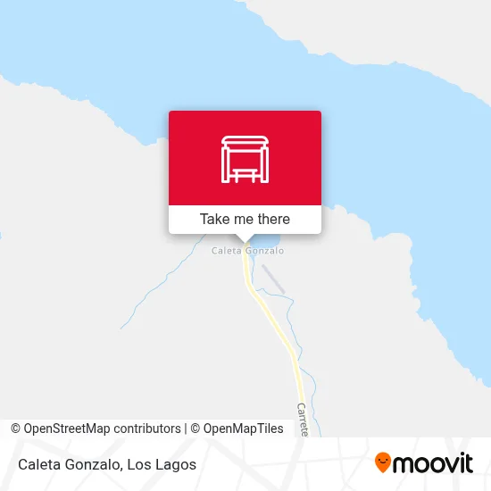 Caleta Gonzalo estación - Rutas, horarios y tarifas