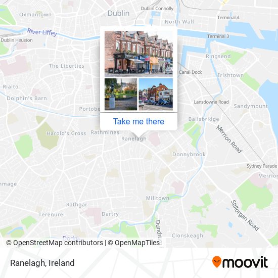 Ranelagh Gardens Dublin | Fasci Garden