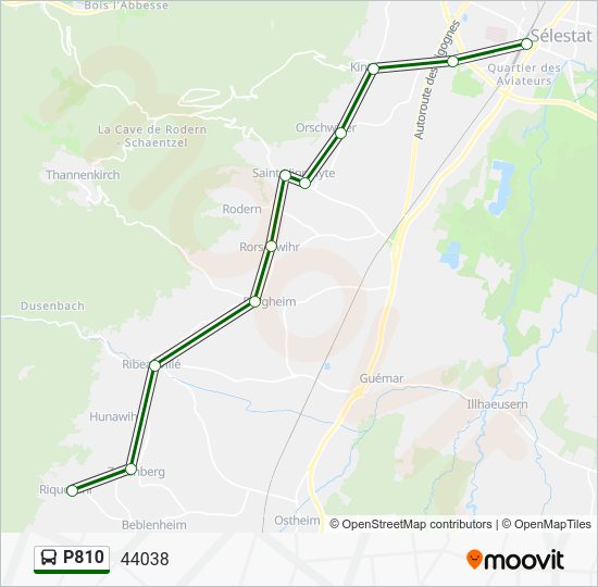 Línea P810: horarios, paradas y mapas - 44038 (Actualizado)