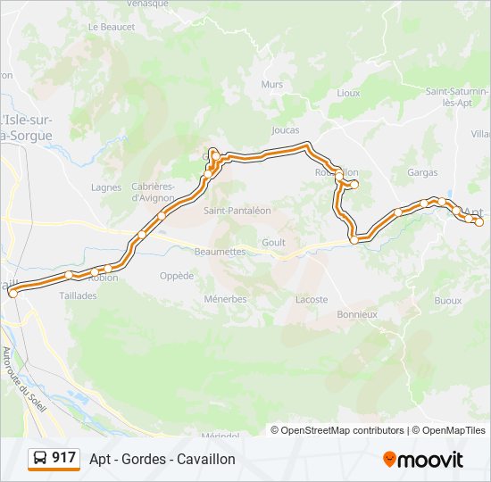 917 Route: Schedules, Stops & Maps - (Updated)