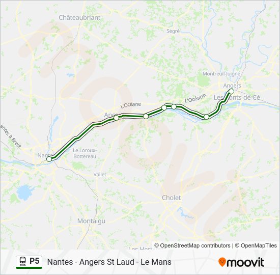 p5 Route: Schedules, Stops & Maps - 857541 (Updated)