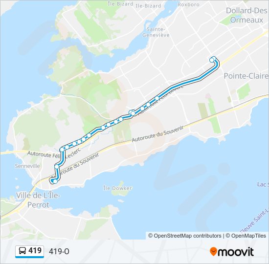 419 Route: Schedules, Stops & Maps - Ouest (Updated)